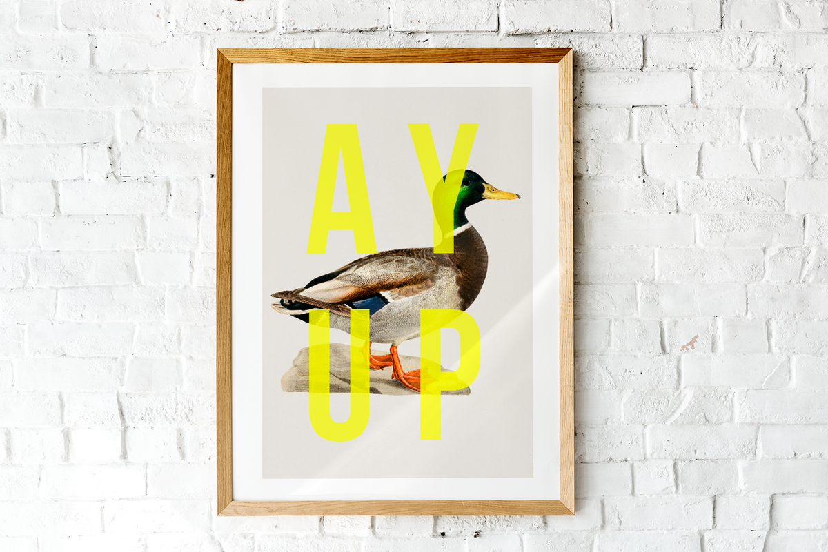 Ay Up Duck (Large) – The 13 Prints