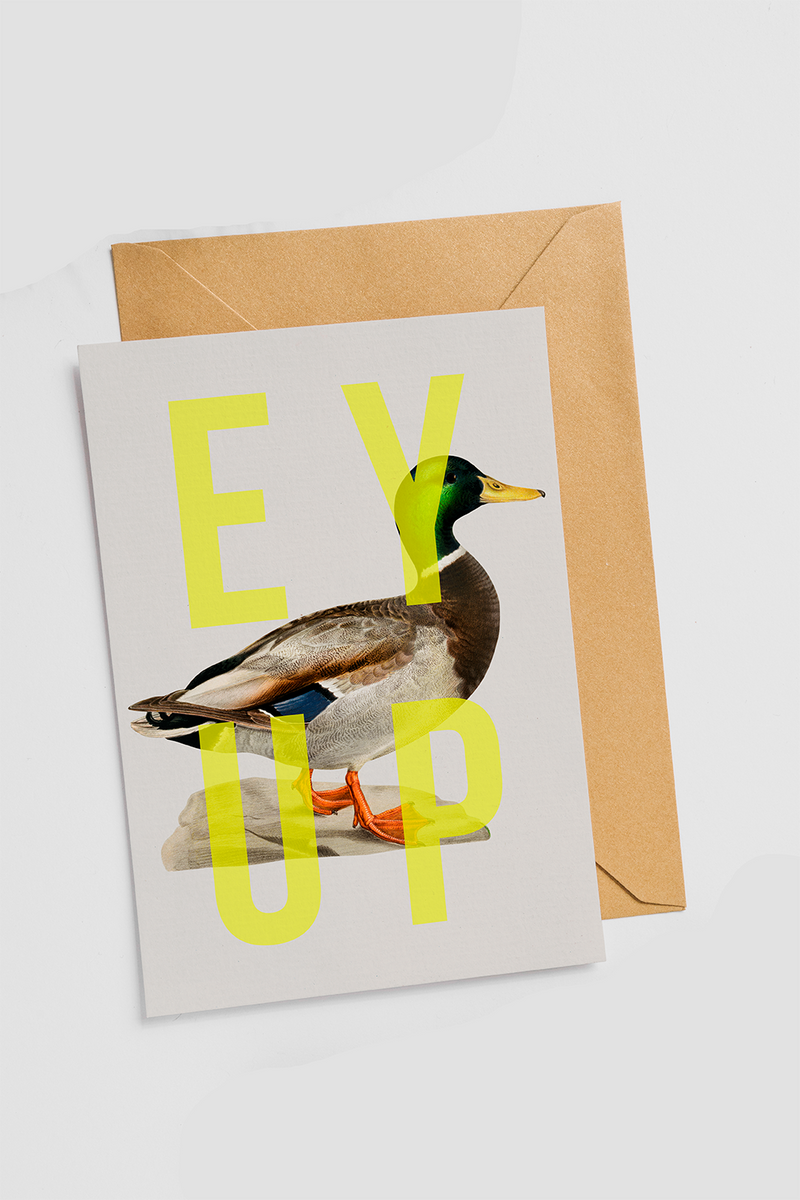 Ey Up Duck – The 13 Prints